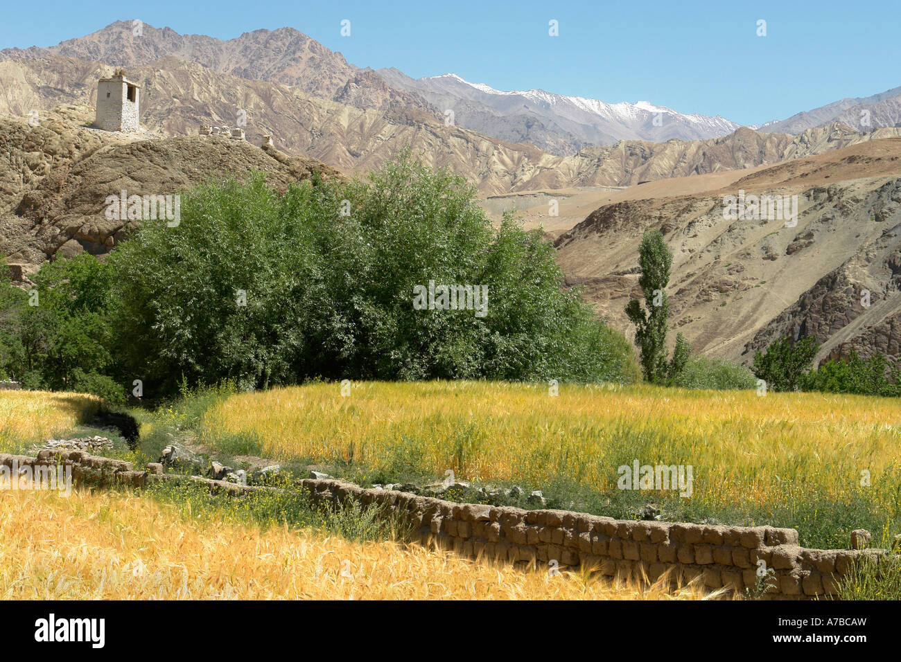 Alchi landscape hi-res stock photography and images - Alamy