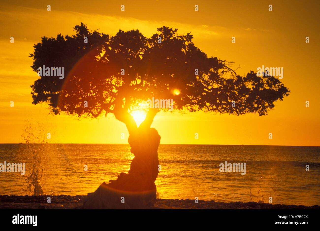 Watapana hi-res stock photography and images - Alamy