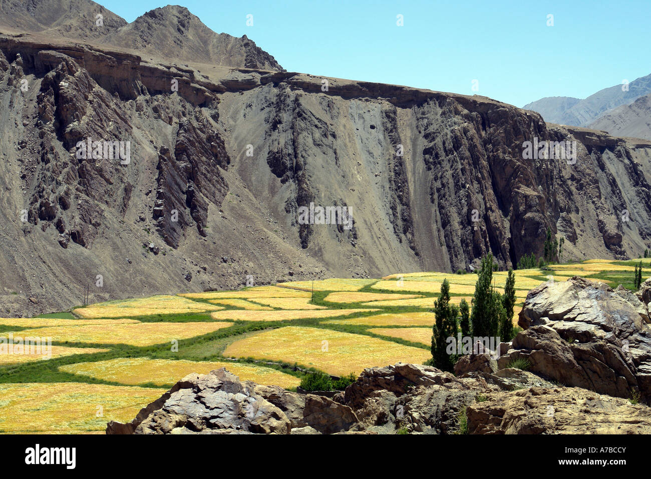 alchi valley view Stock Photo - Alamy