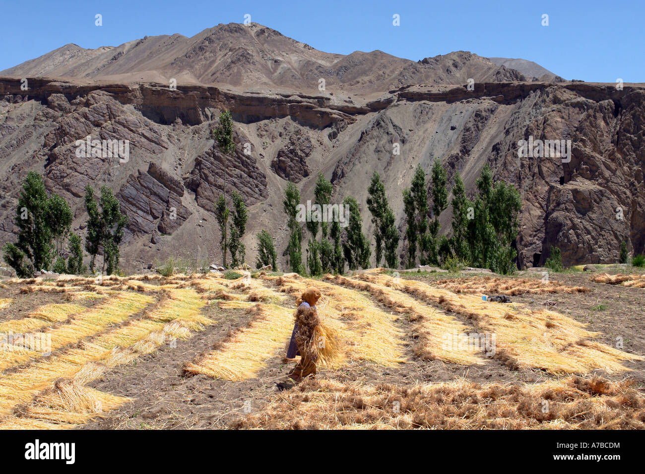 Alchi landscape hi-res stock photography and images - Alamy