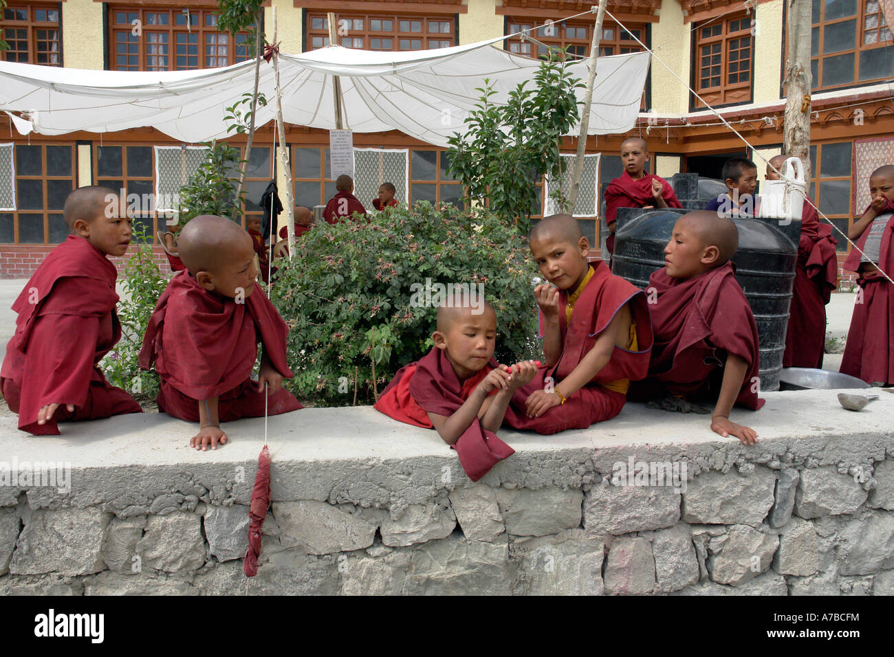 student monks at rizong Stock Photo - Alamy