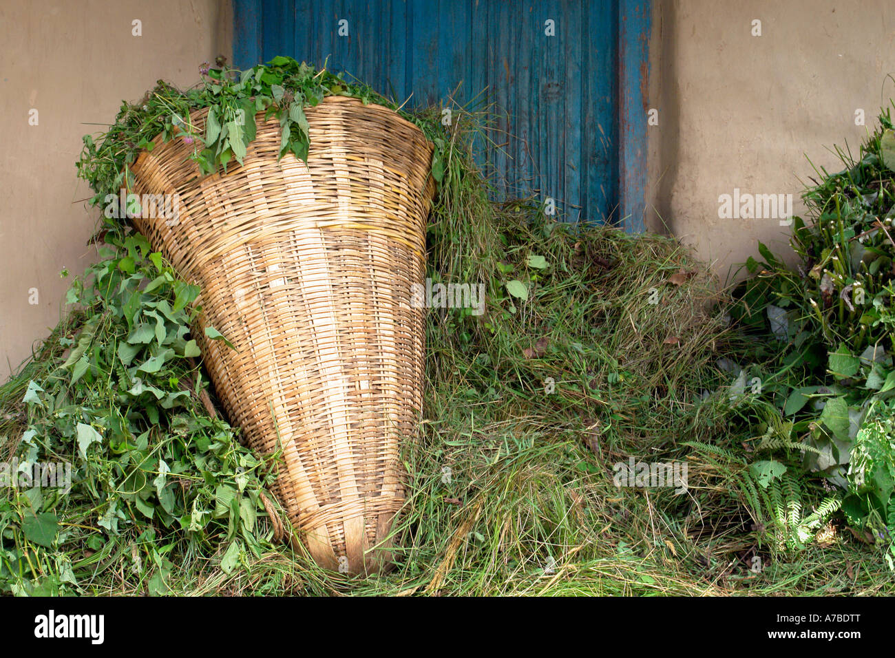 crops gathered in Stock Photo - Alamy