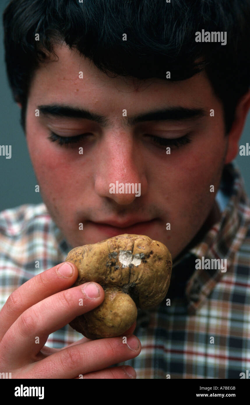 Man smelling at Truffle Alba Stock Photo - Alamy