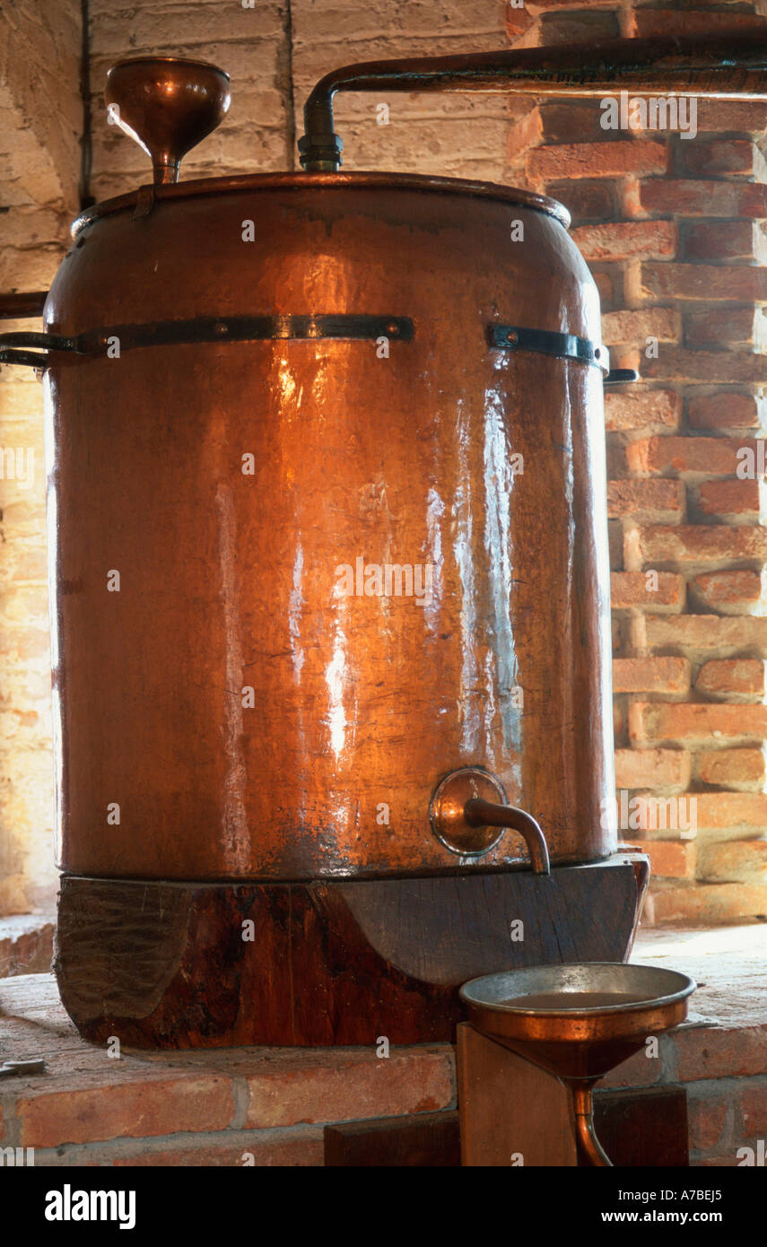 Plant geography hi-res stock photography and images - Alamy