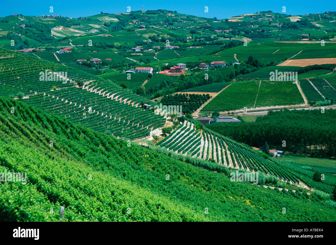 Wine region Langhe Stock Photo - Alamy