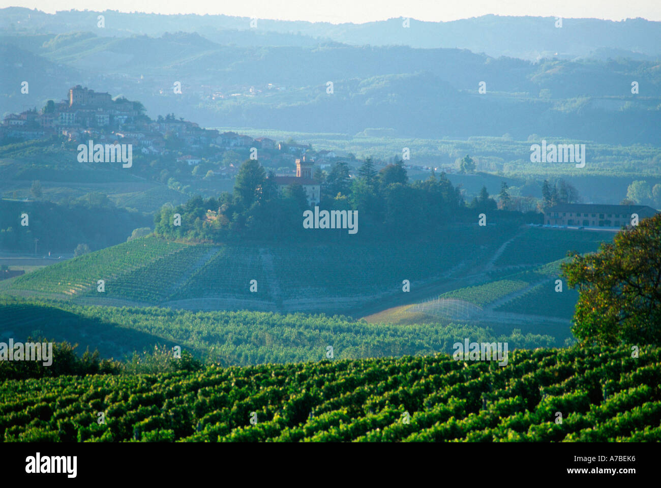 Wine region Langhe Stock Photo - Alamy