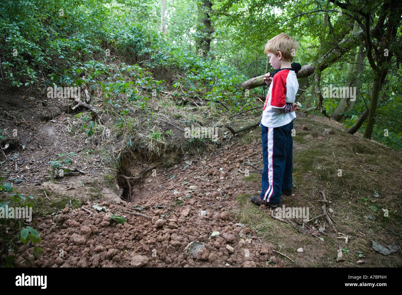 Young boy standing on mound outside a badger sett Stock Photo - Alamy