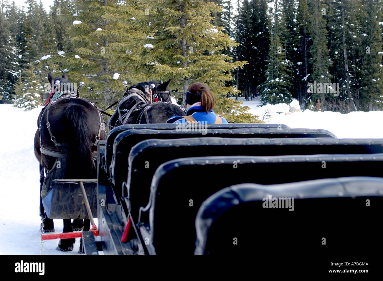 Old horse drawn sleigh hi-res stock photography and images - Alamy