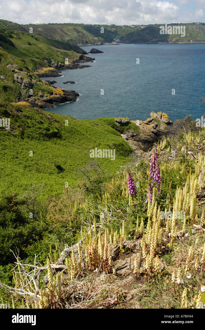 Bouley bay hi-res stock photography and images - Alamy