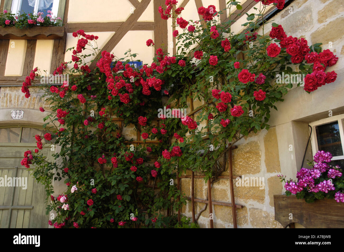 Framework for climbing plants hi-res stock photography and images - Alamy