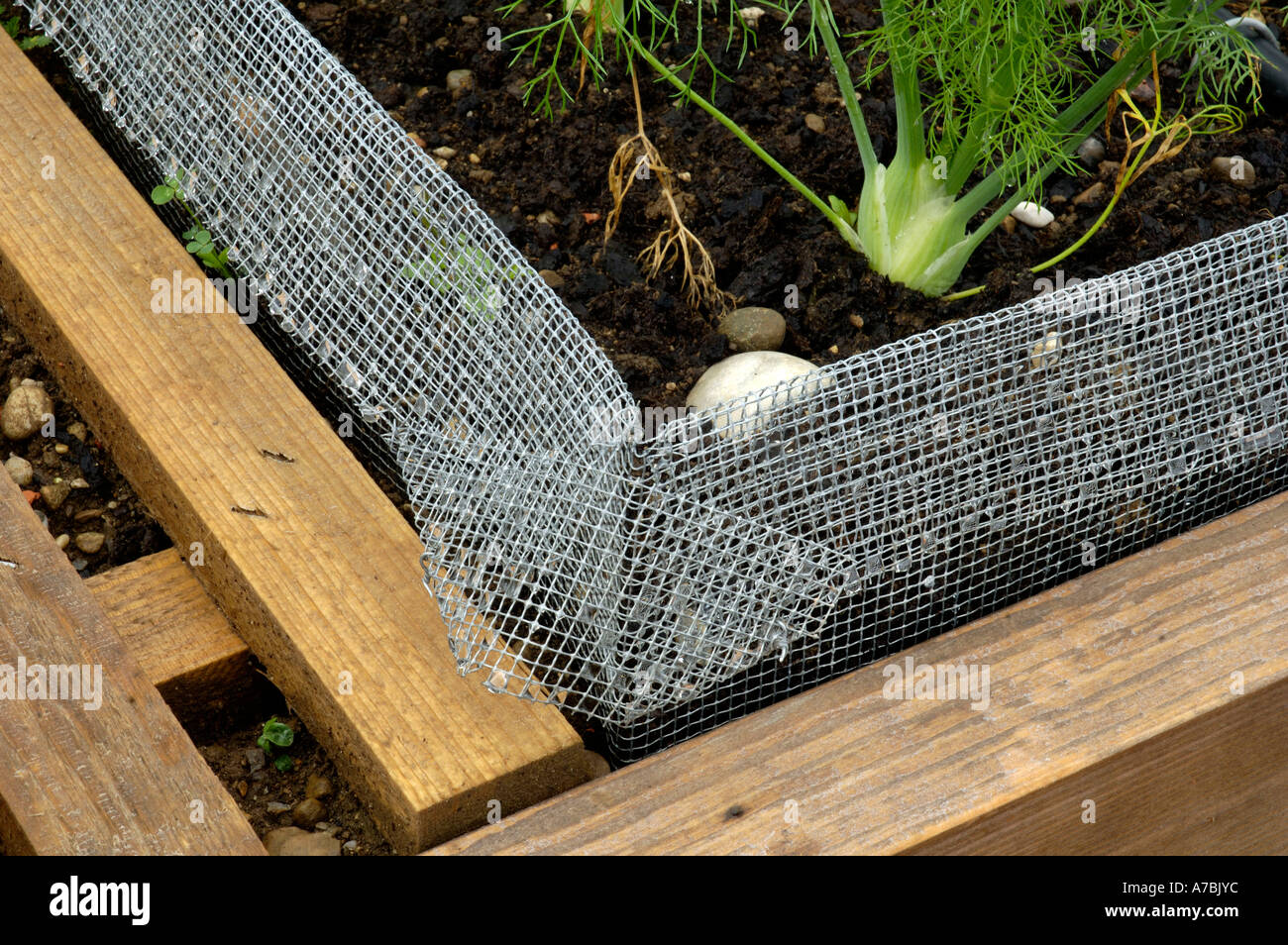 Slug defense hi-res stock photography and images - Alamy