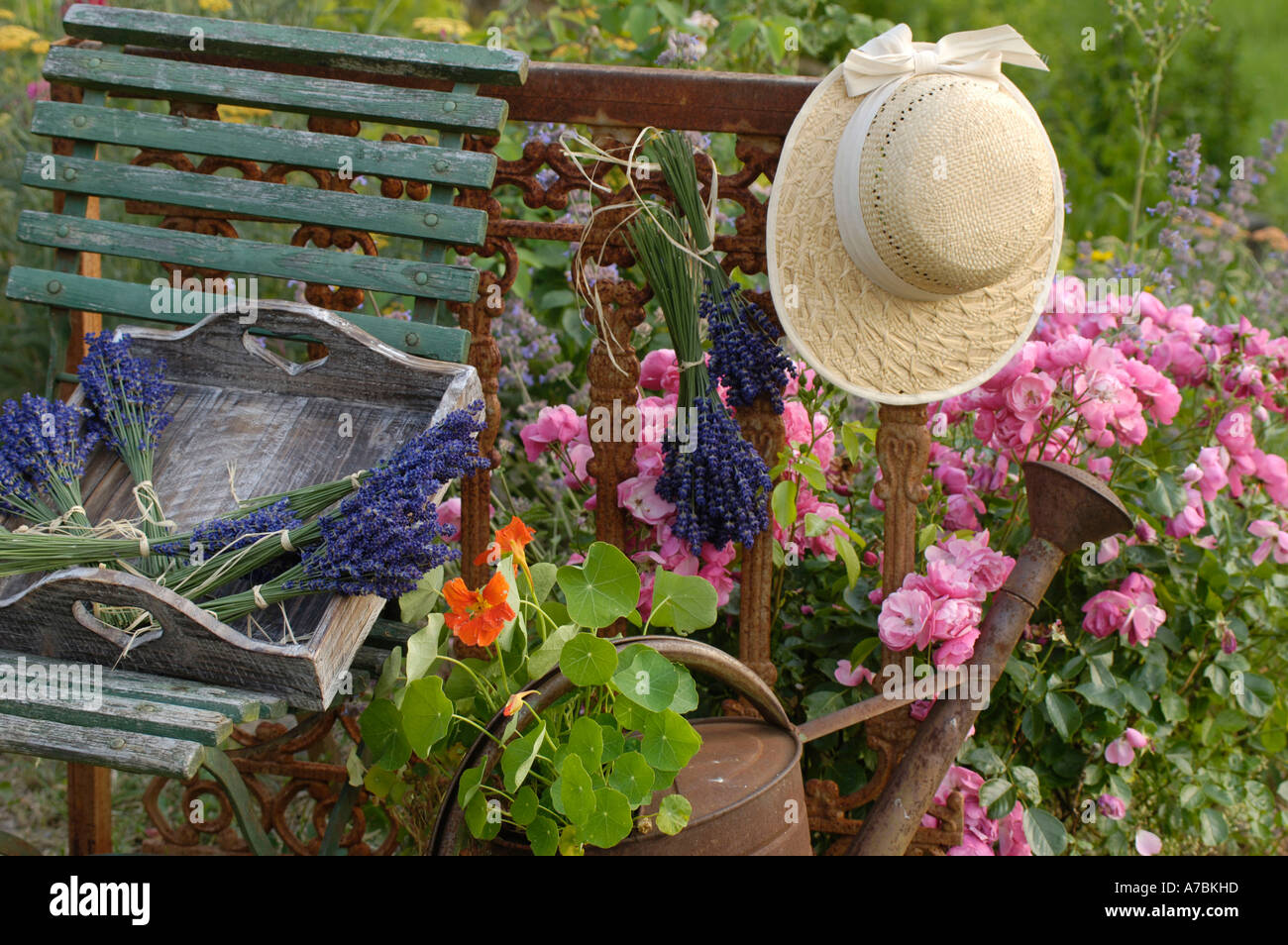 Garden still hi-res stock photography and images - Alamy