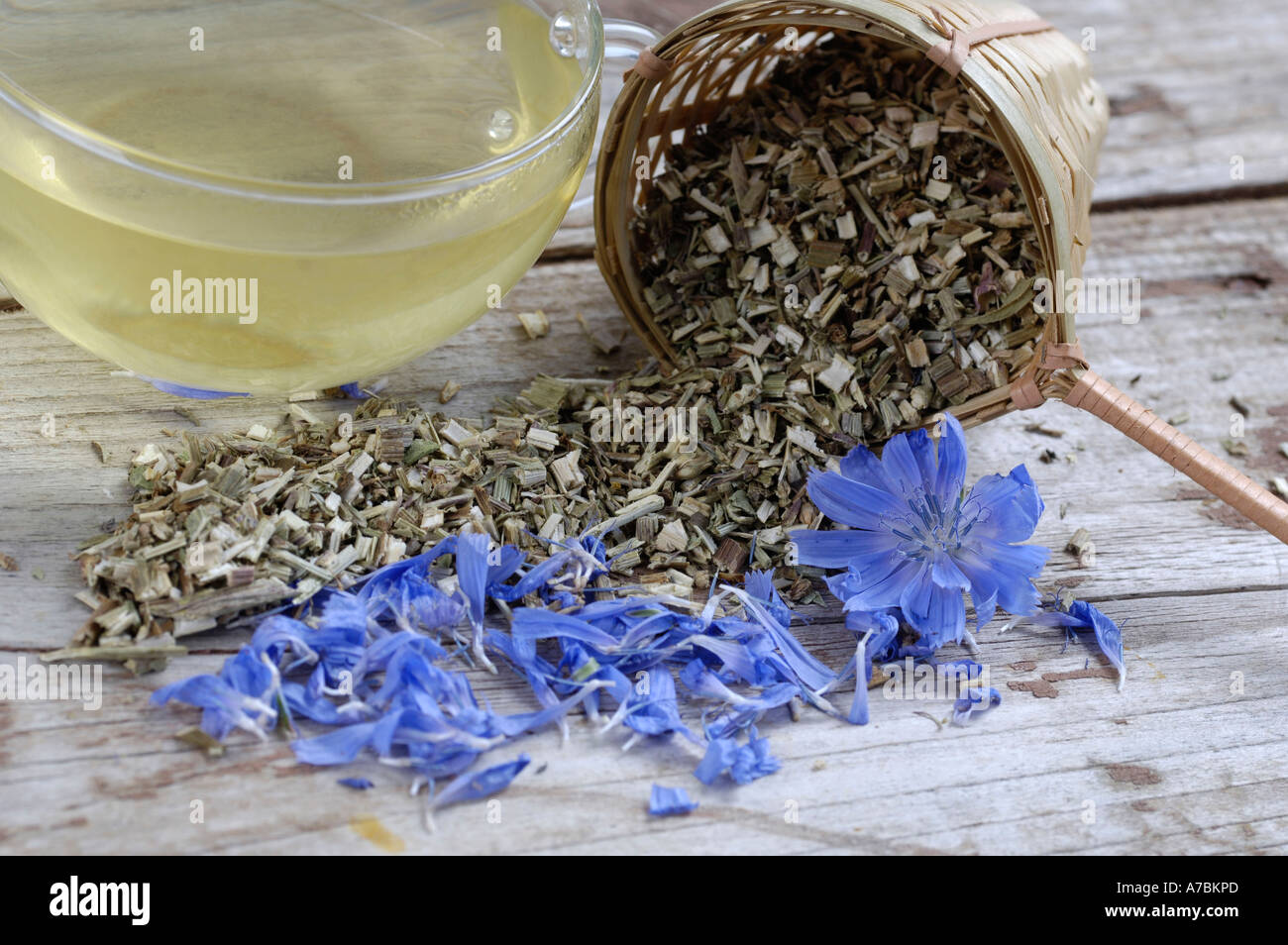 Dried chicory hi-res stock photography and images - Alamy