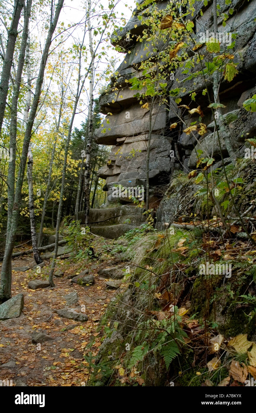 Gorham Mountain Trail Stock Photo - Alamy