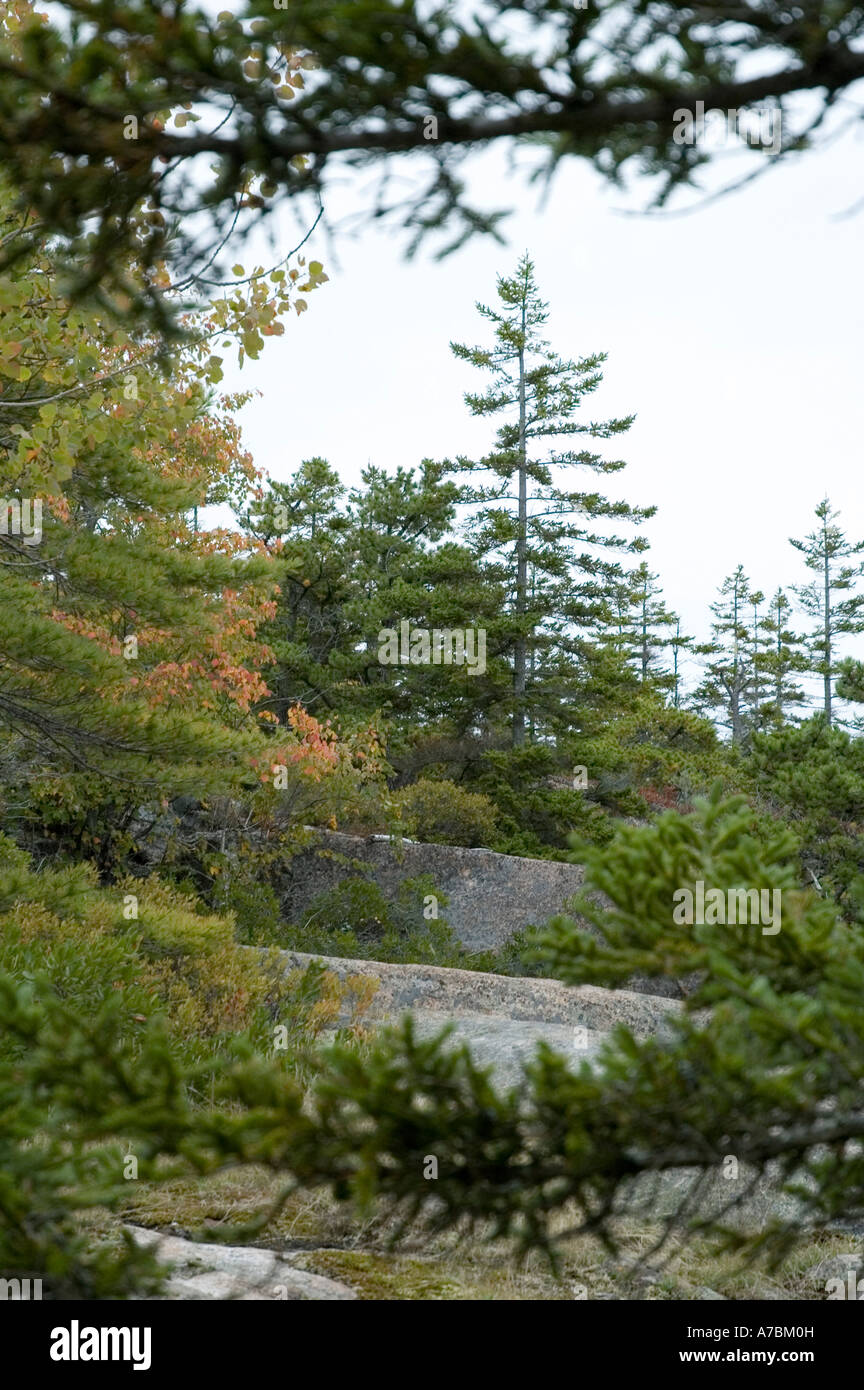Gorham Mountain Trail Stock Photo - Alamy
