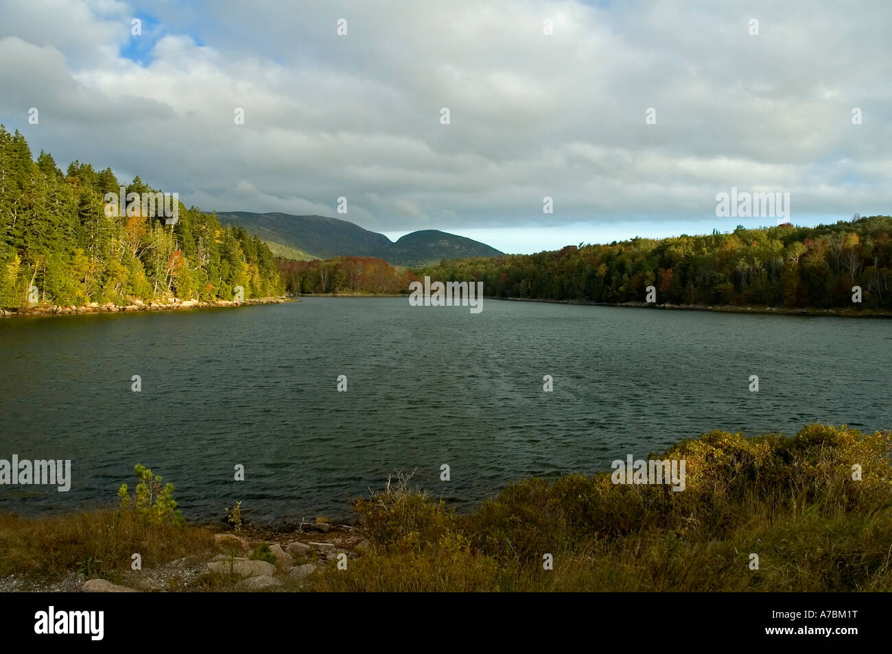 Otter Cove Acadia Nat Park Stock Photo - Alamy
