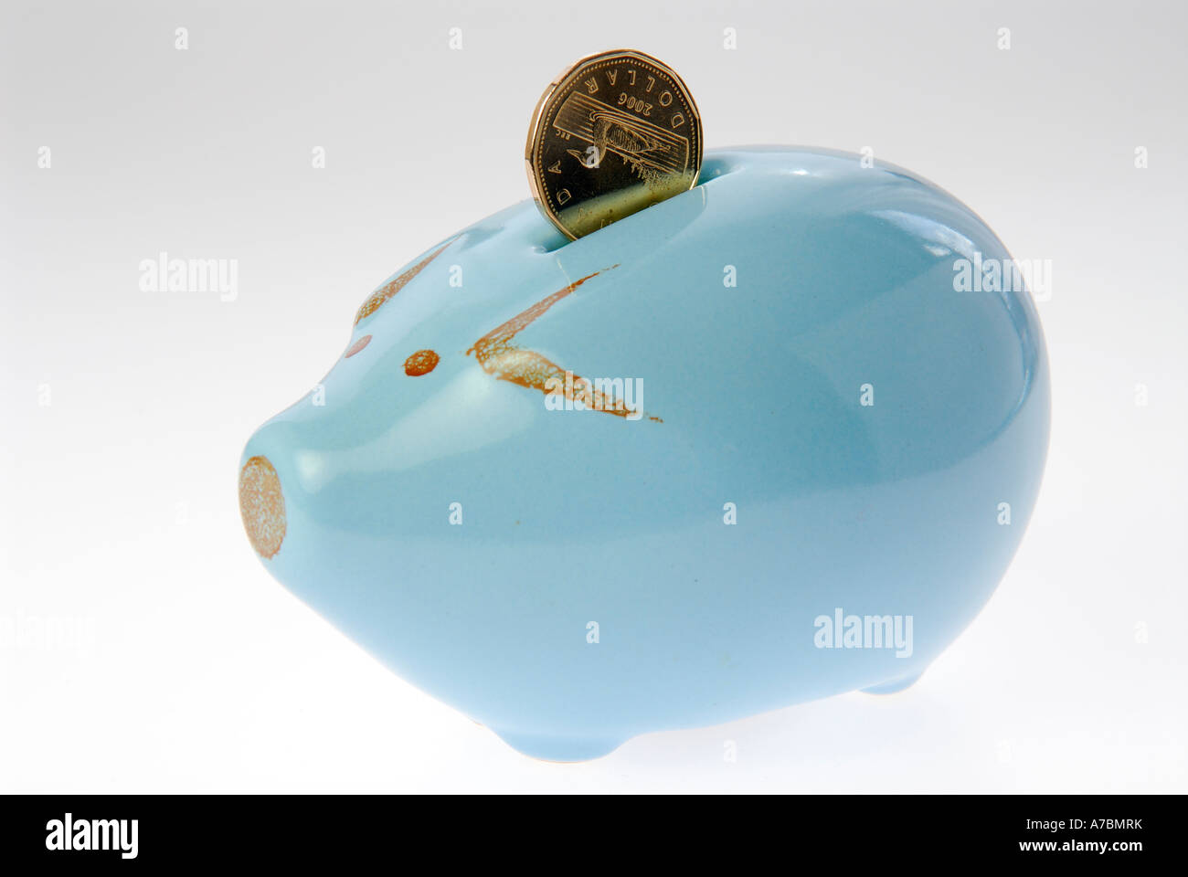 One Canadian dollar loonie dropping into a blue piggy bank on white ...