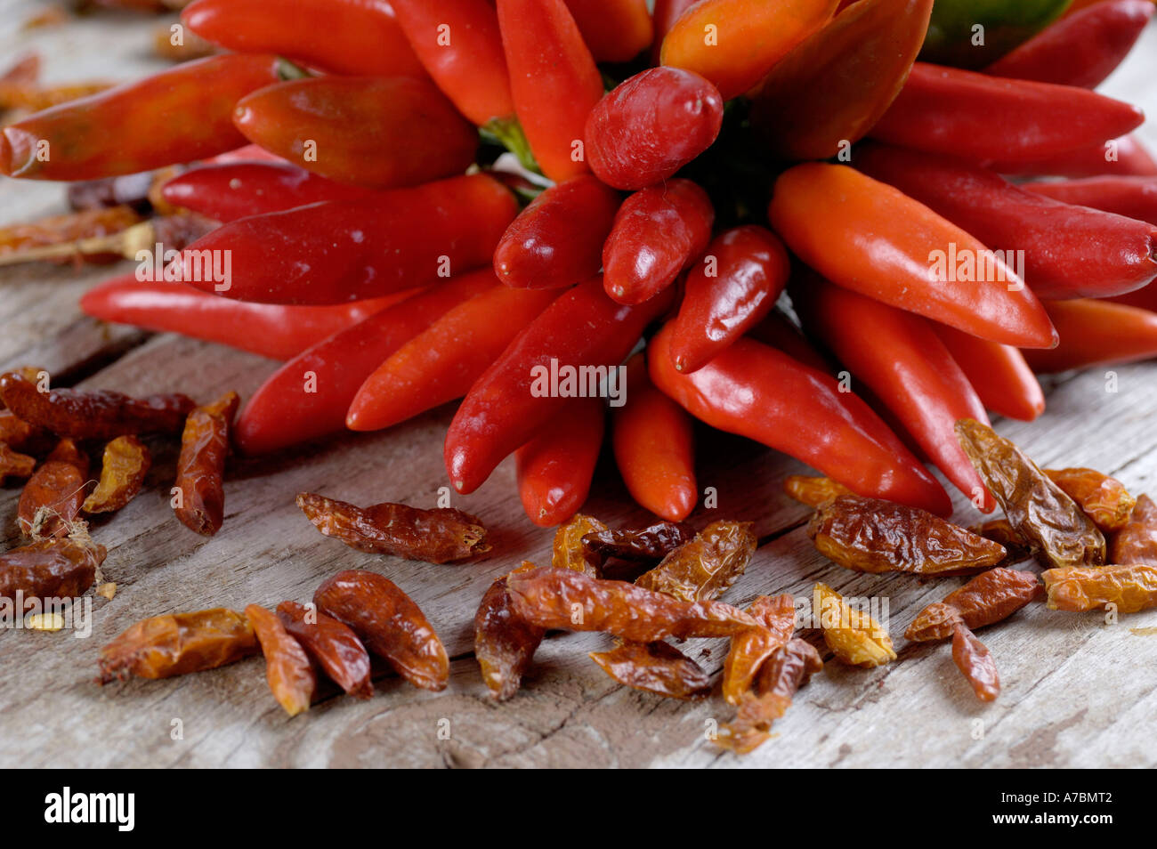 Hot Chili Piri-Piri Stock Photo - Alamy