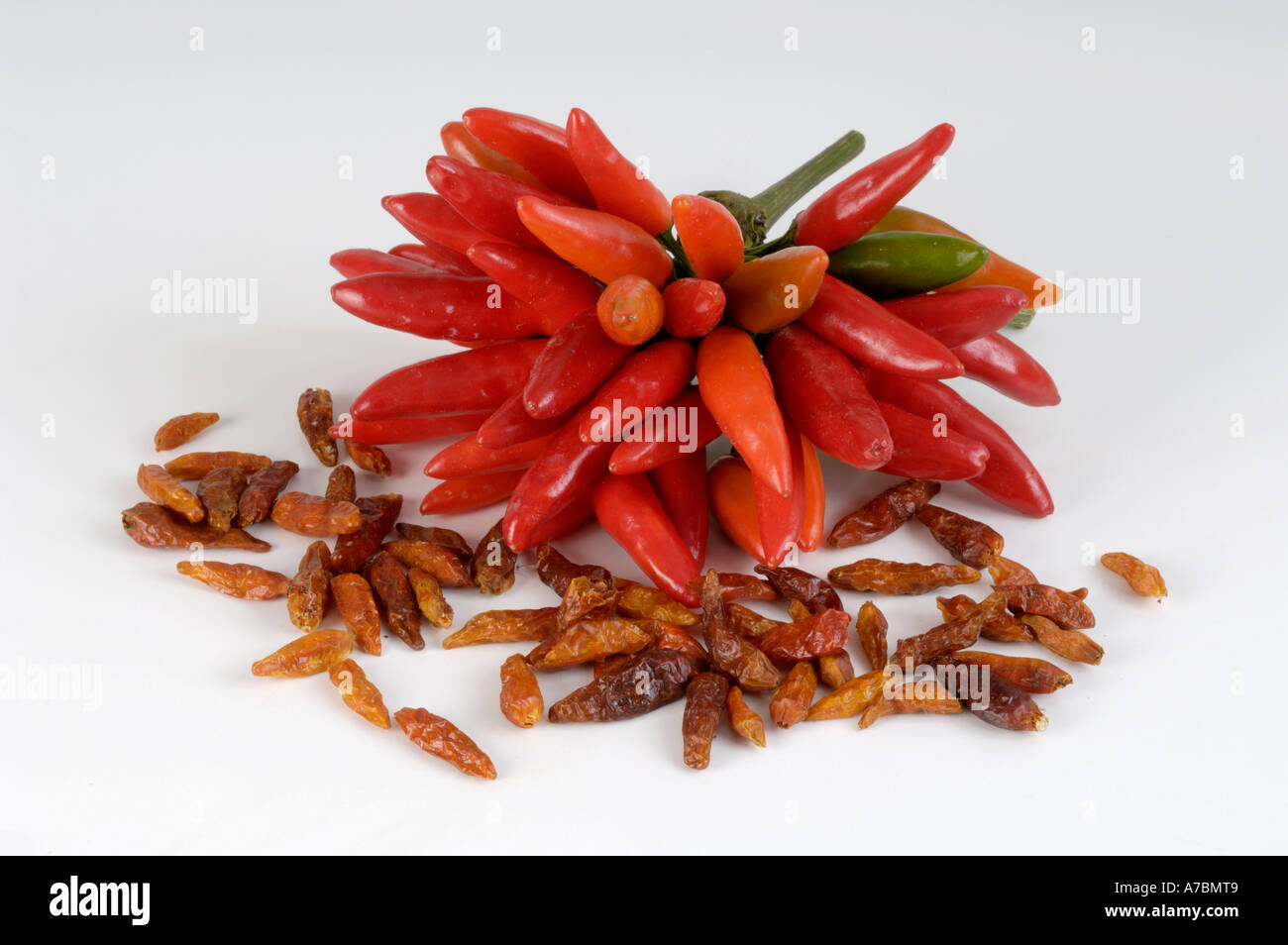 Hot Chili Piri-Piri Stock Photo - Alamy