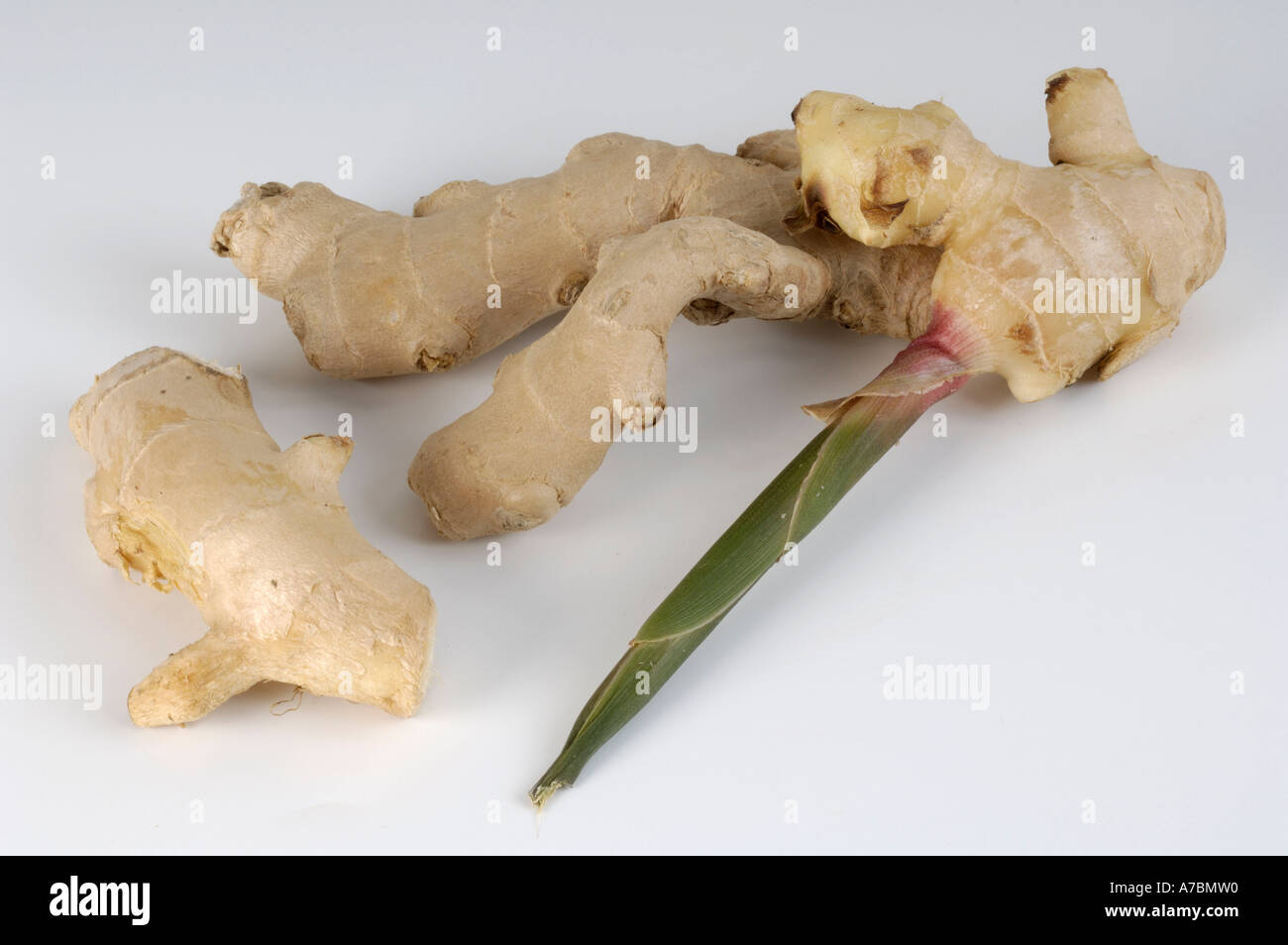 Common Ginger Roots Stock Photo - Alamy