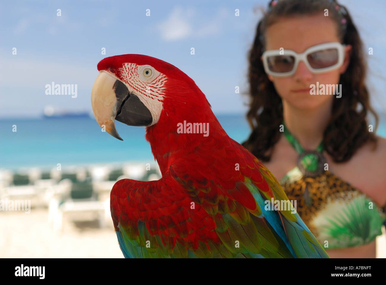 Parrot girl hi-res stock photography and images - Alamy