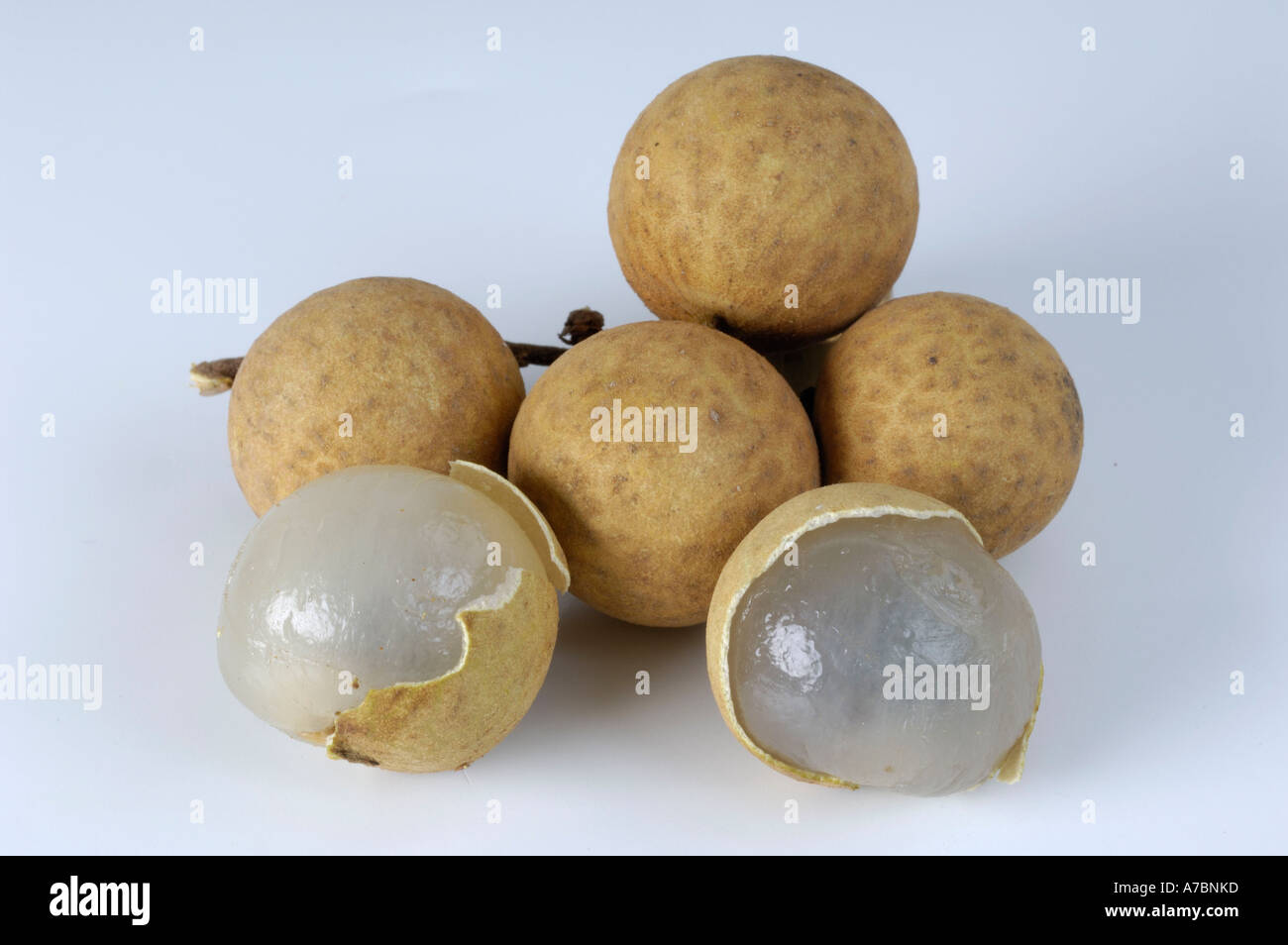 Longan plants hi-res stock photography and images - Alamy