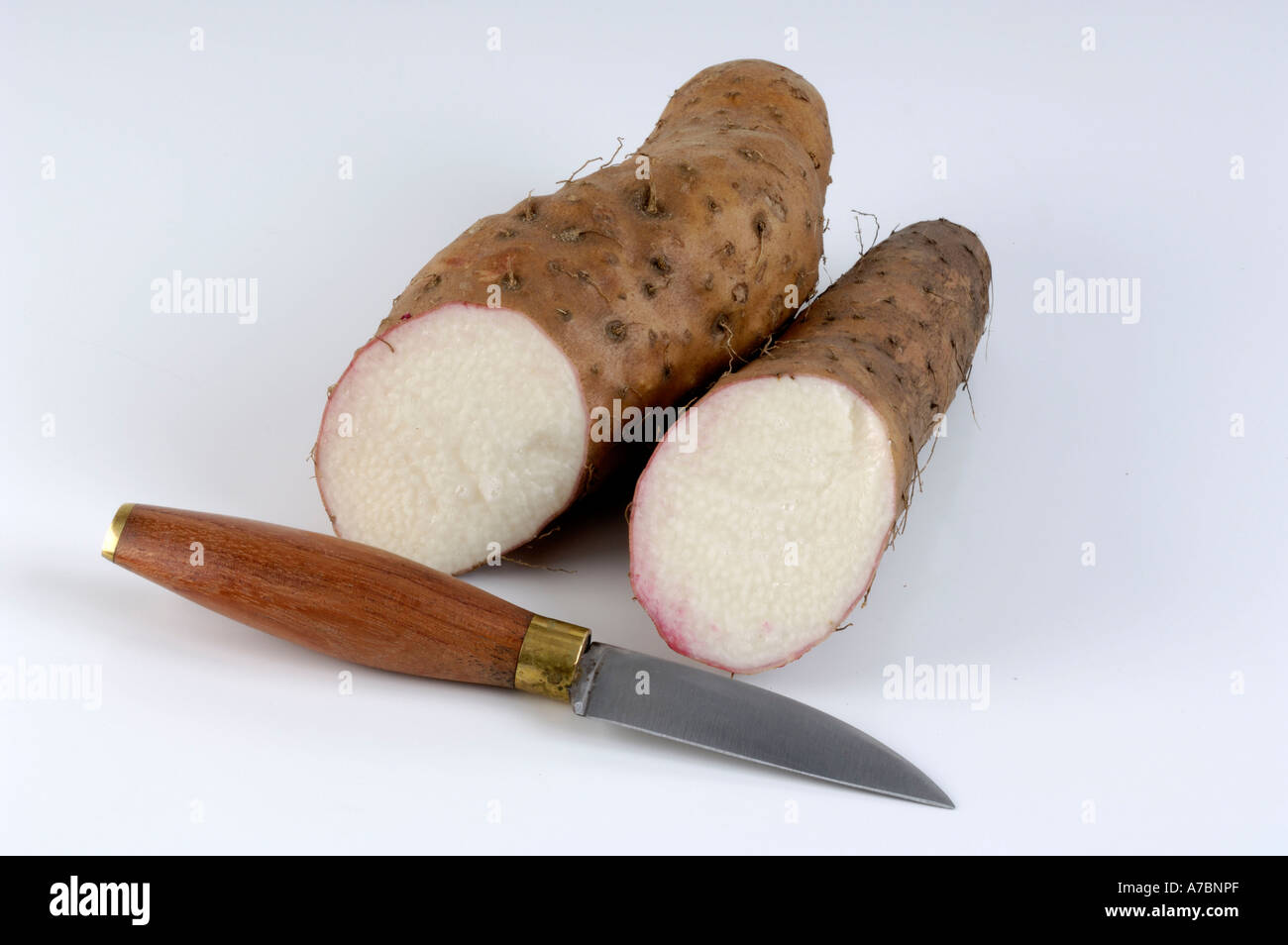 Yam root dioscorea alata hi-res stock photography and images - Alamy