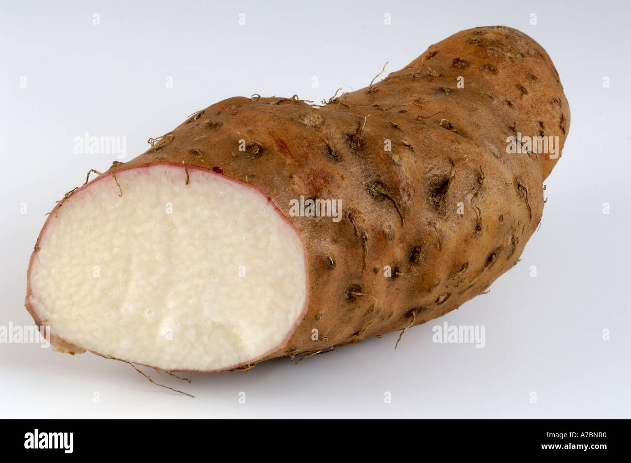 Yam root dioscorea alata hi-res stock photography and images - Alamy