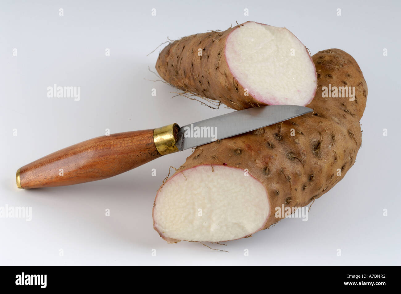 Yam root dioscorea alata hi-res stock photography and images - Alamy