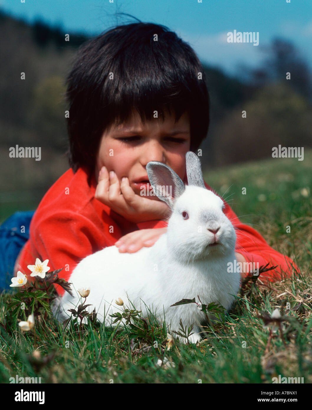 Child with Dwarf Rabbit Stock Photo - Alamy