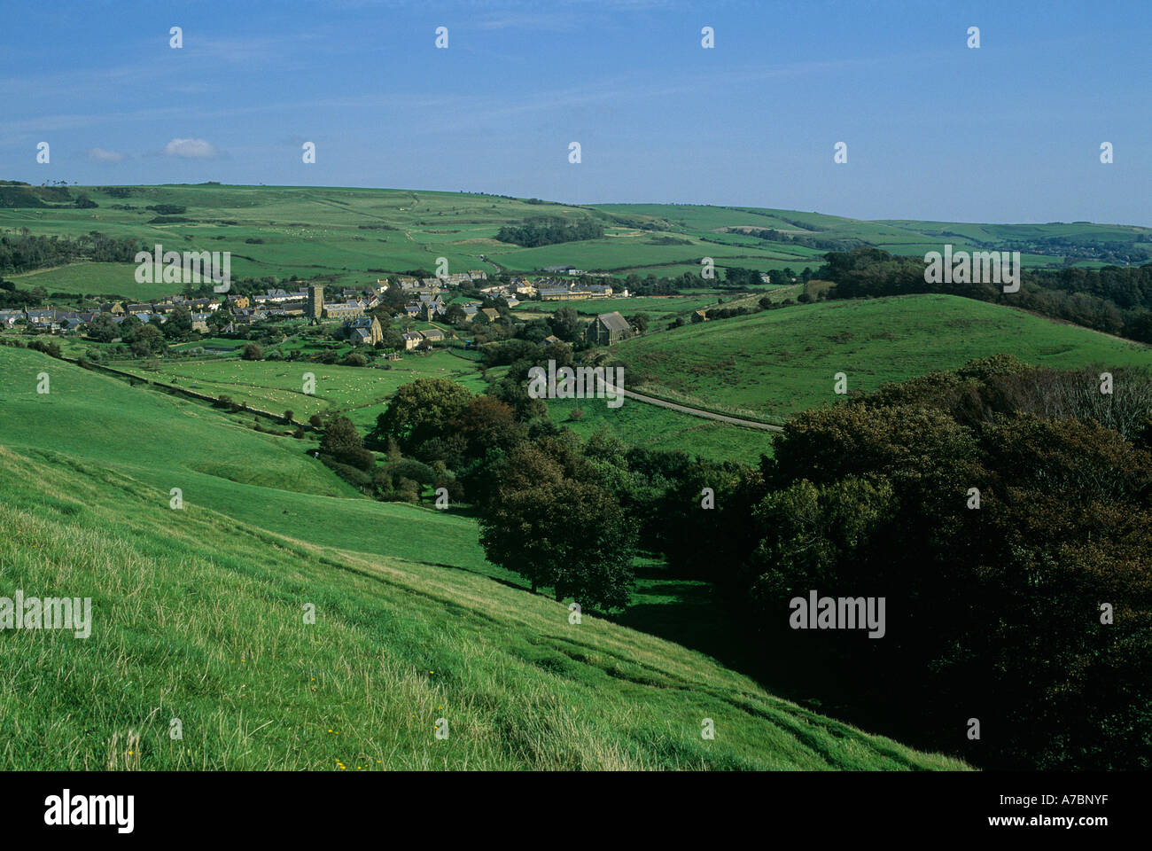 Abbotsbury village with parish church and tythe barn surrounded by lush ...