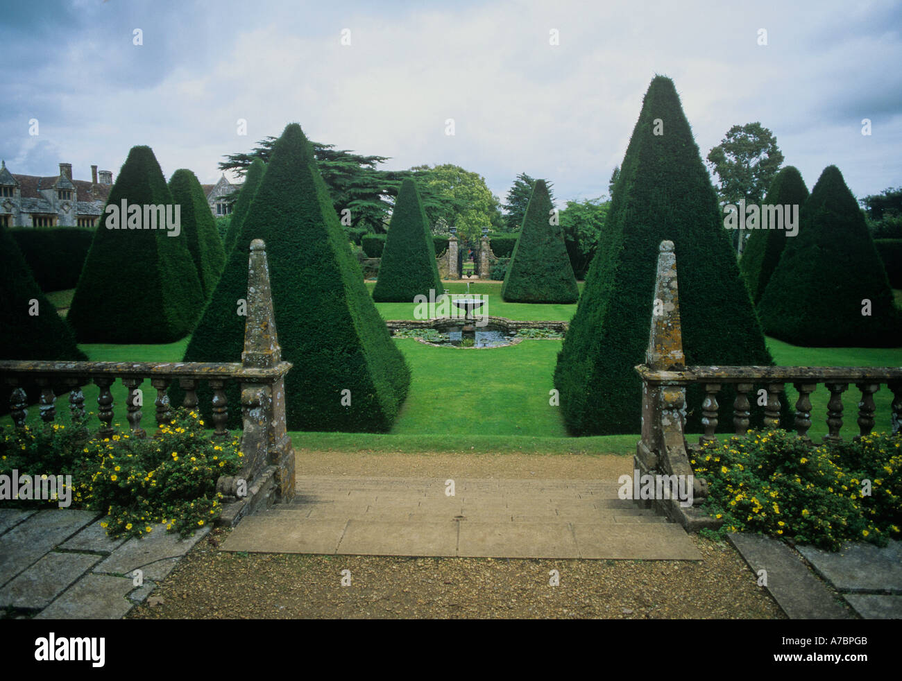 Huge pyramids standing in formal gardens of Athelhampton House Dorset ...