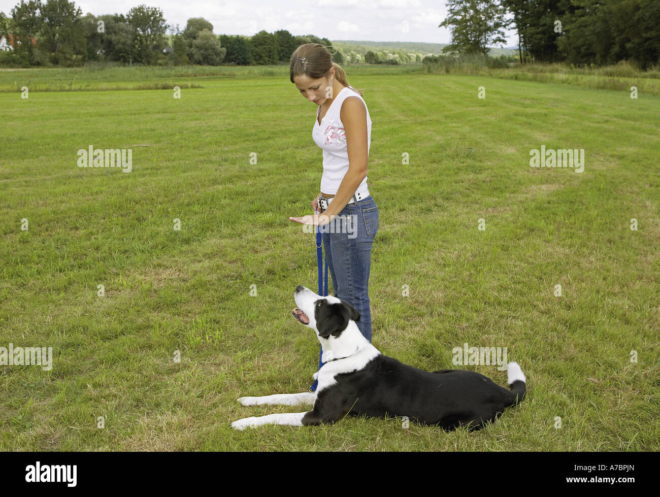 Women dog meadow education hi-res stock photography and images - Alamy
