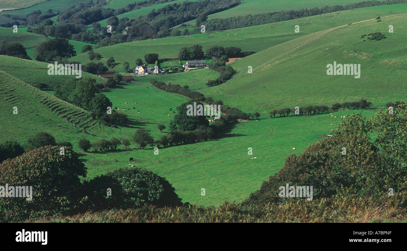 Little bredy dorset hi-res stock photography and images - Alamy