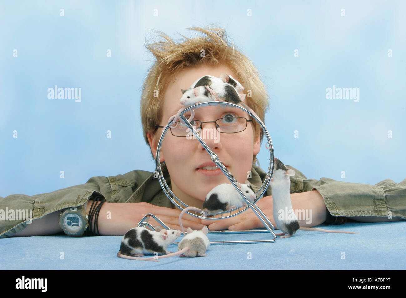 fancy mice - in running wheel Stock Photo - Alamy