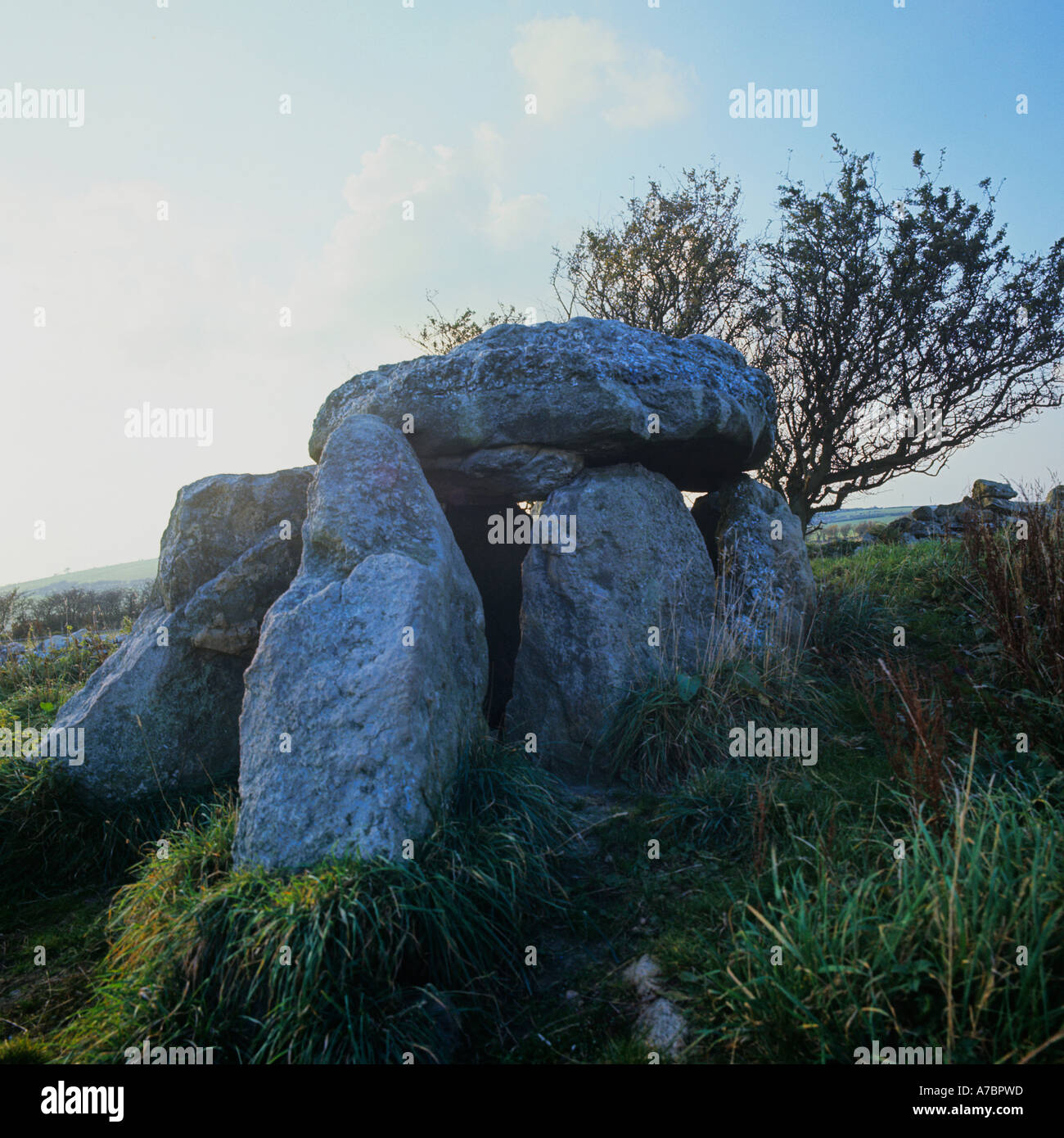 Hells Stone chambered Long Barrow 1 2 mile north of Portesham Dorset ...