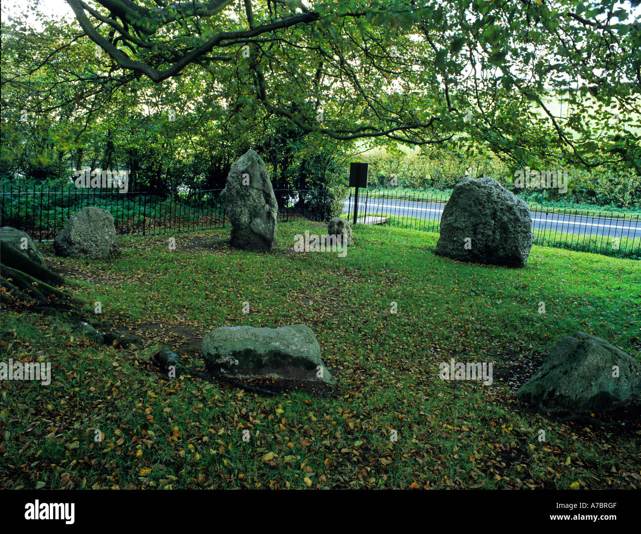 Nine Stones circle 1 2 mile west of Winterbourne beside the A35 Dorset ...