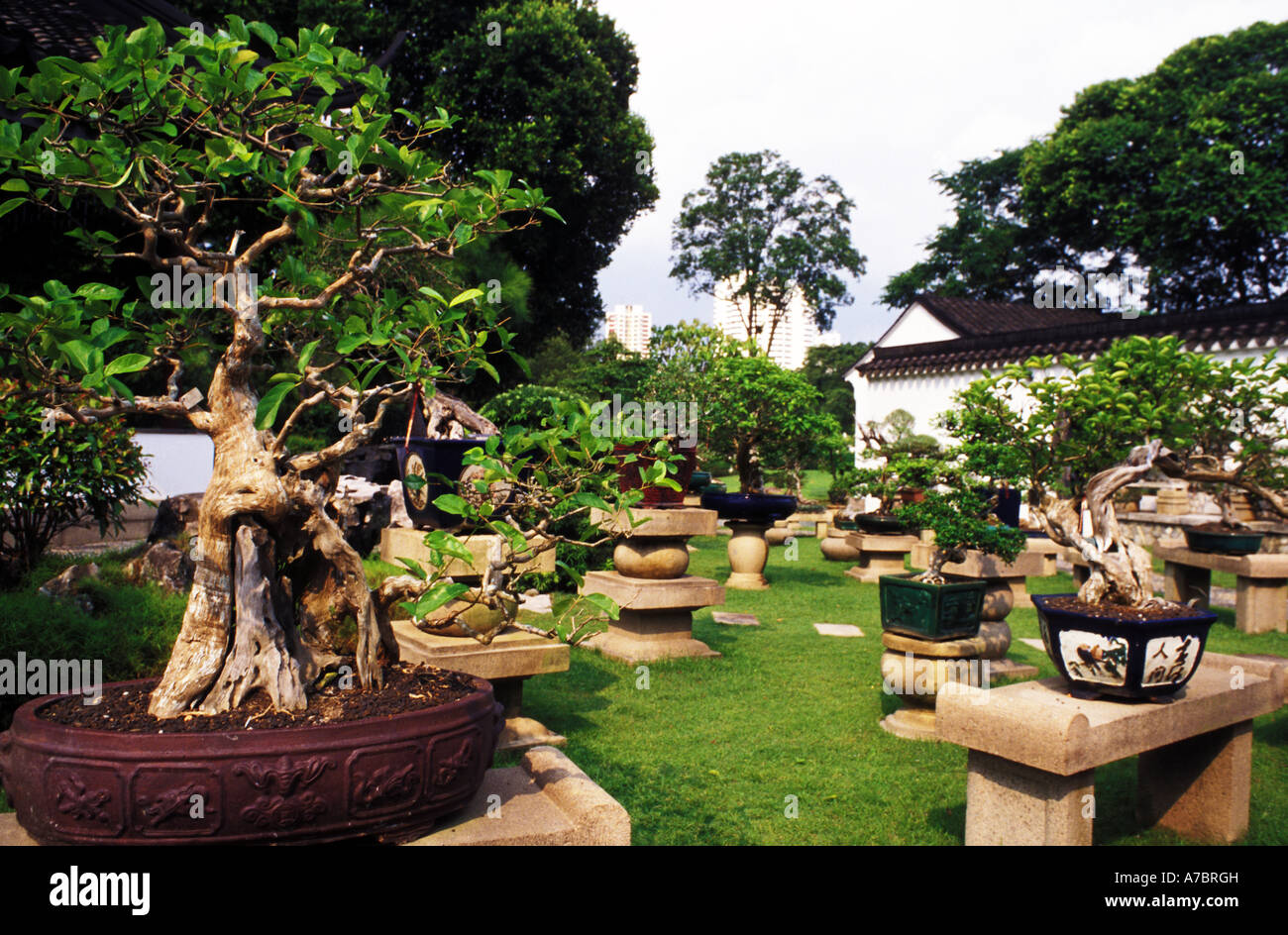 chinese garden, sushou penjing garden, singapore Stock Photo - Alamy