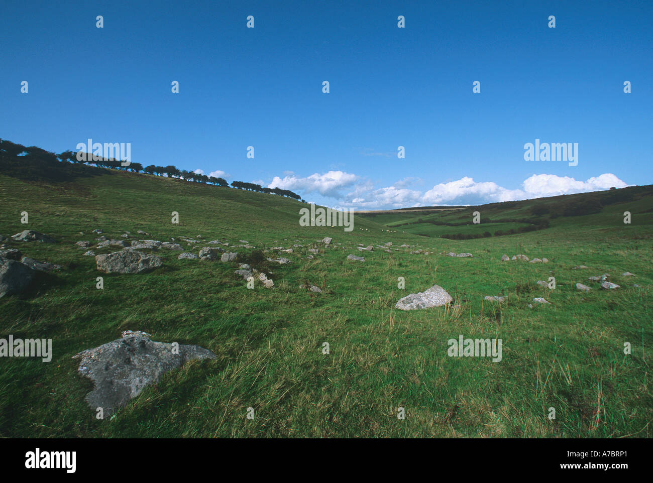 Valley of Stones Little Bredy Dorset arrangement of stones in a valley ...