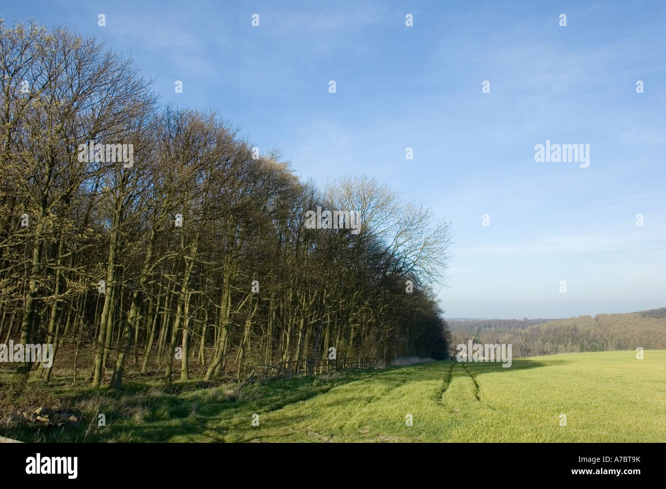 Field Leeds country way, Harewood Leeds West Yorkshire England UK Stock ...