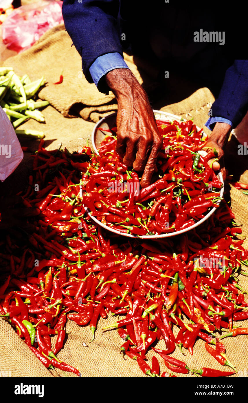 flacq market chillies, mauritius Stock Photo - Alamy