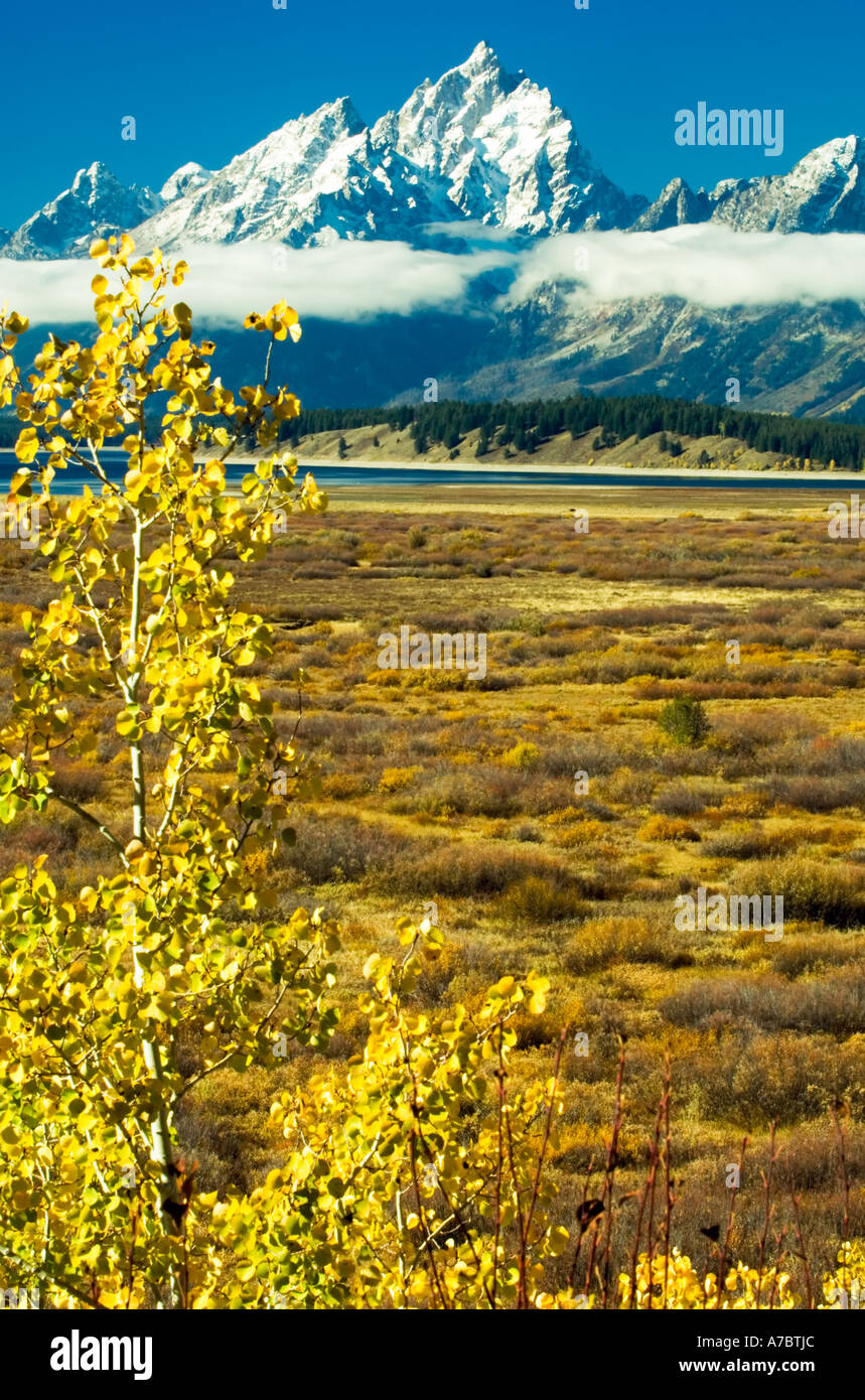 Willow Flats from Jackson Lake Lodge Stock Photo - Alamy