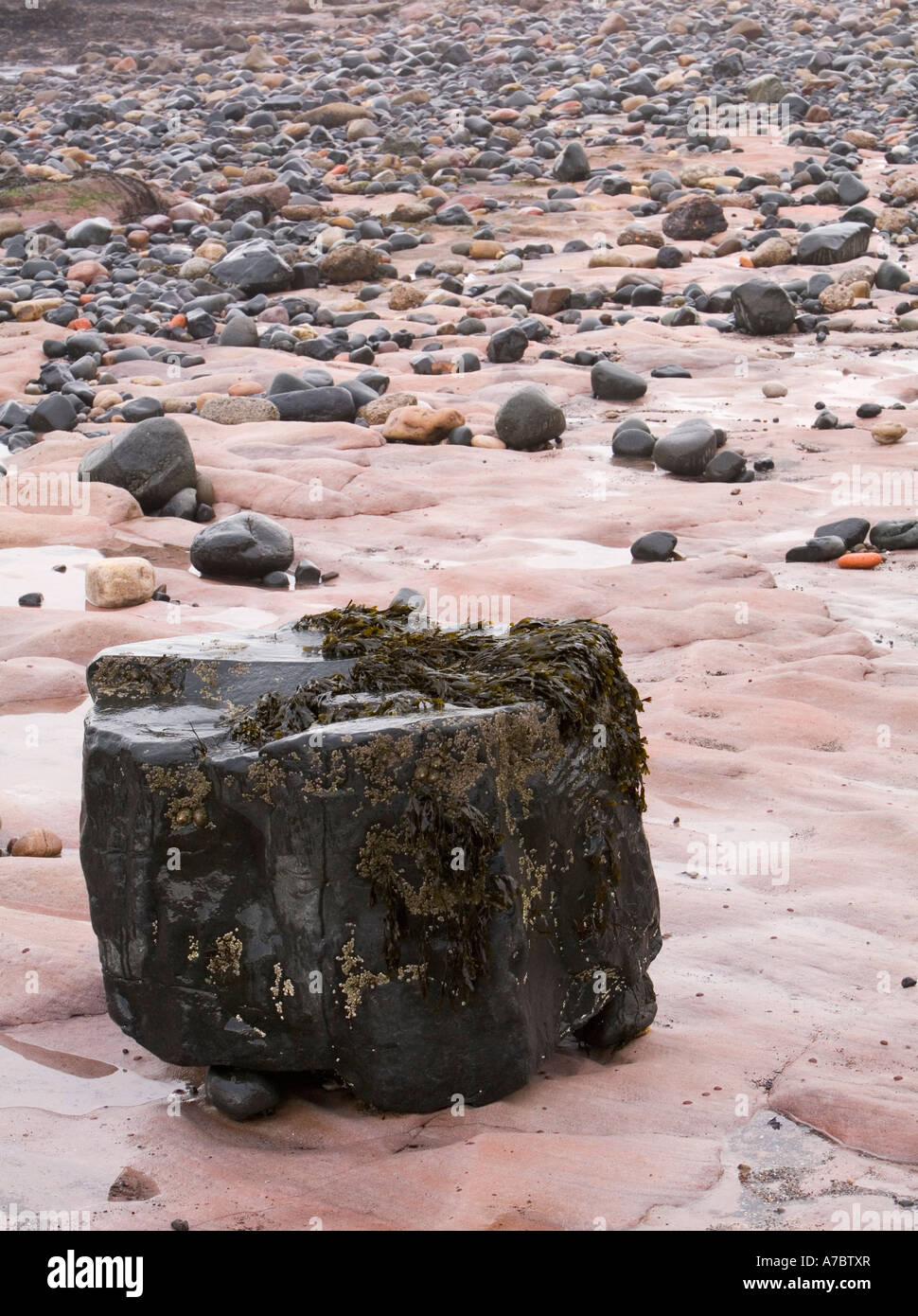 Giant rock on pebbled beach Stock Photo - Alamy