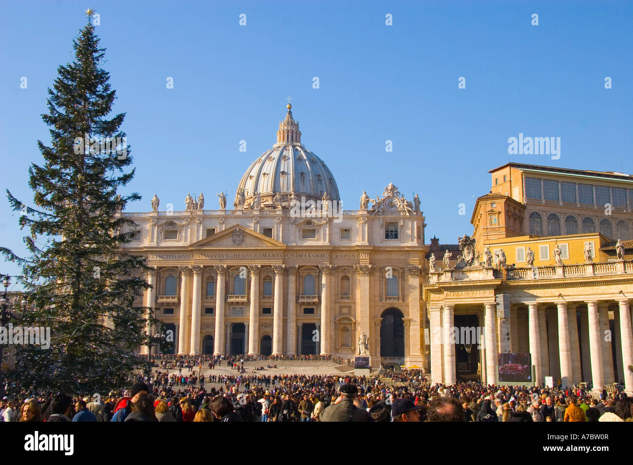 Rome, piazza, San Pietro, Italy, religion, catholic, tree, christmas ...