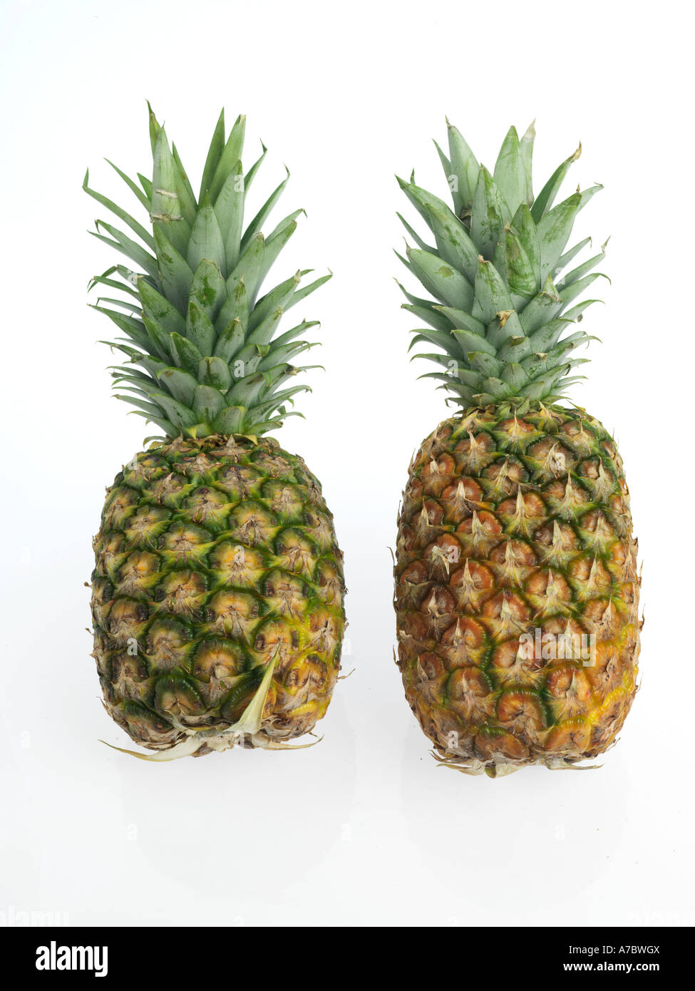 two pineapple, fruit, exotic islands, large, white background, fresh ...