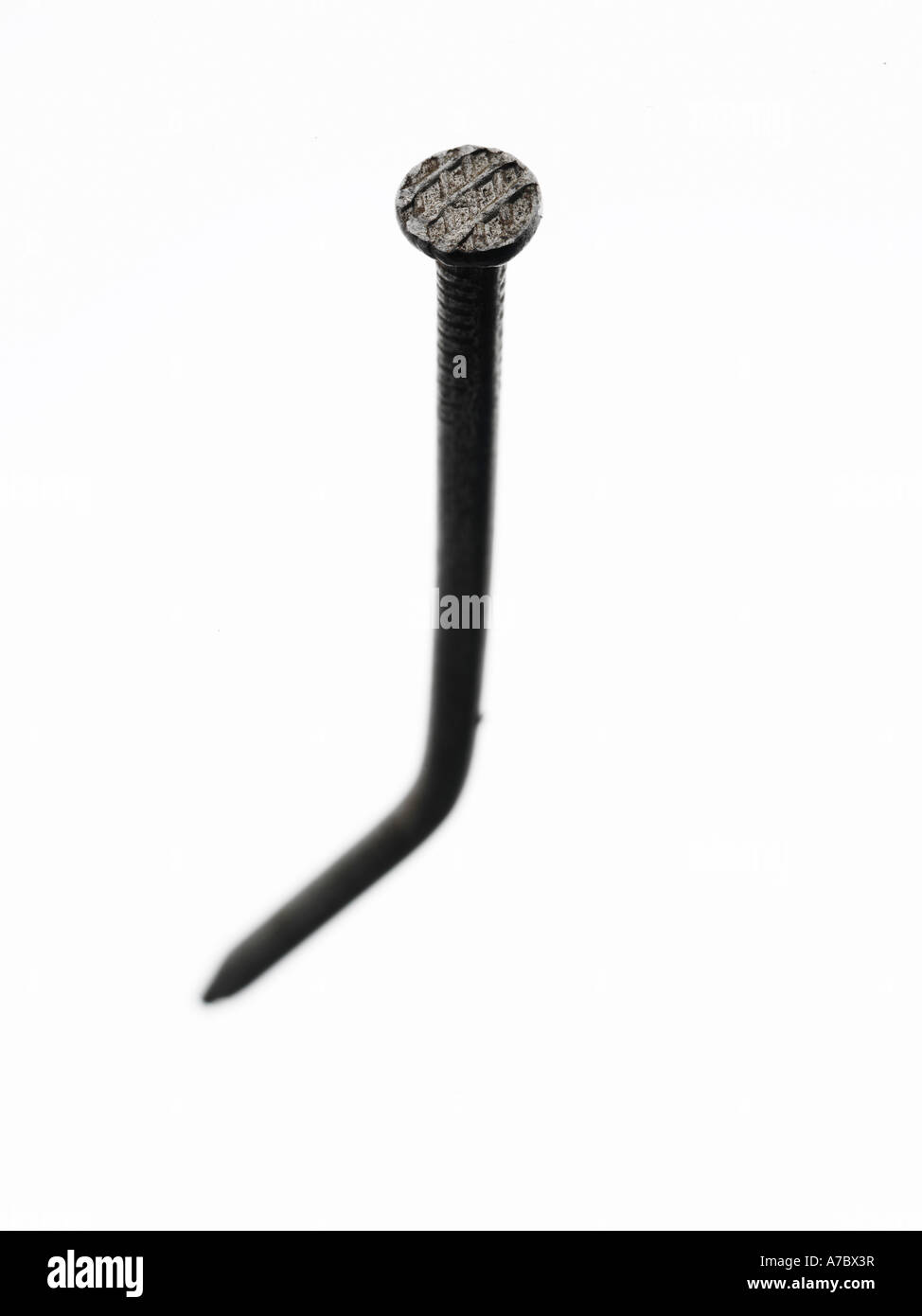 single nails, white background, bent, gray, tip, gray, close up Stock ...