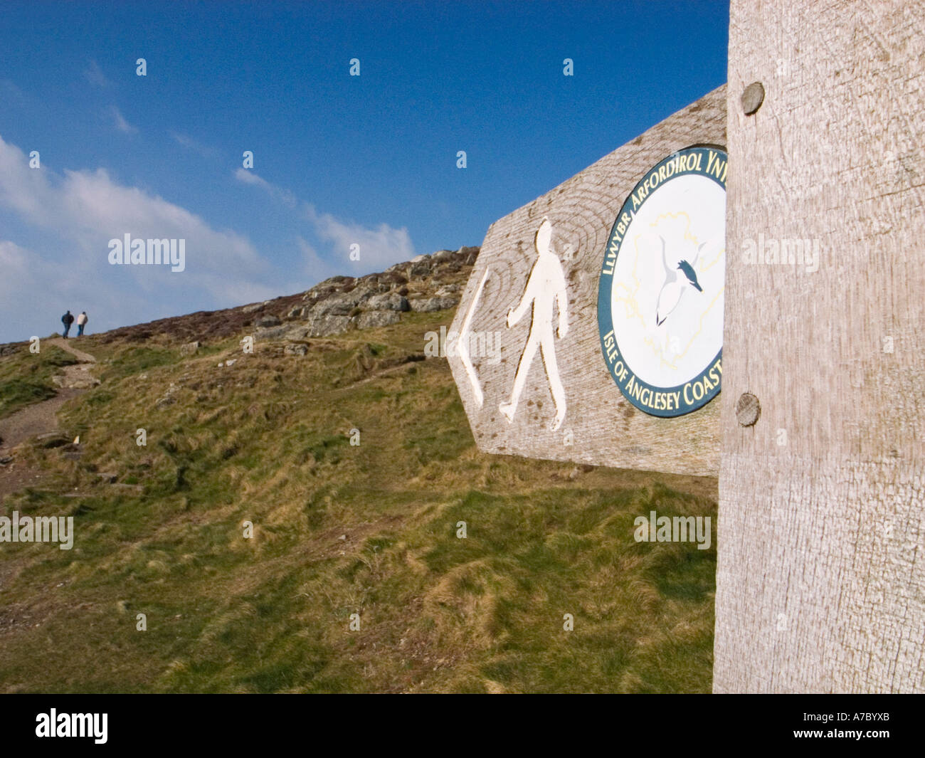 ISLE of ANGLESEY COASTAL FOOTPATH SIGN logo. Anglesey North Wales UK ...