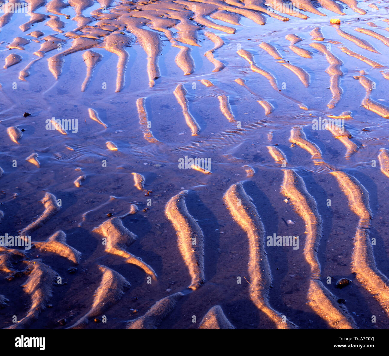 Sand Ripples at the Beach with Texture, Form & Shape Stock Photo - Alamy
