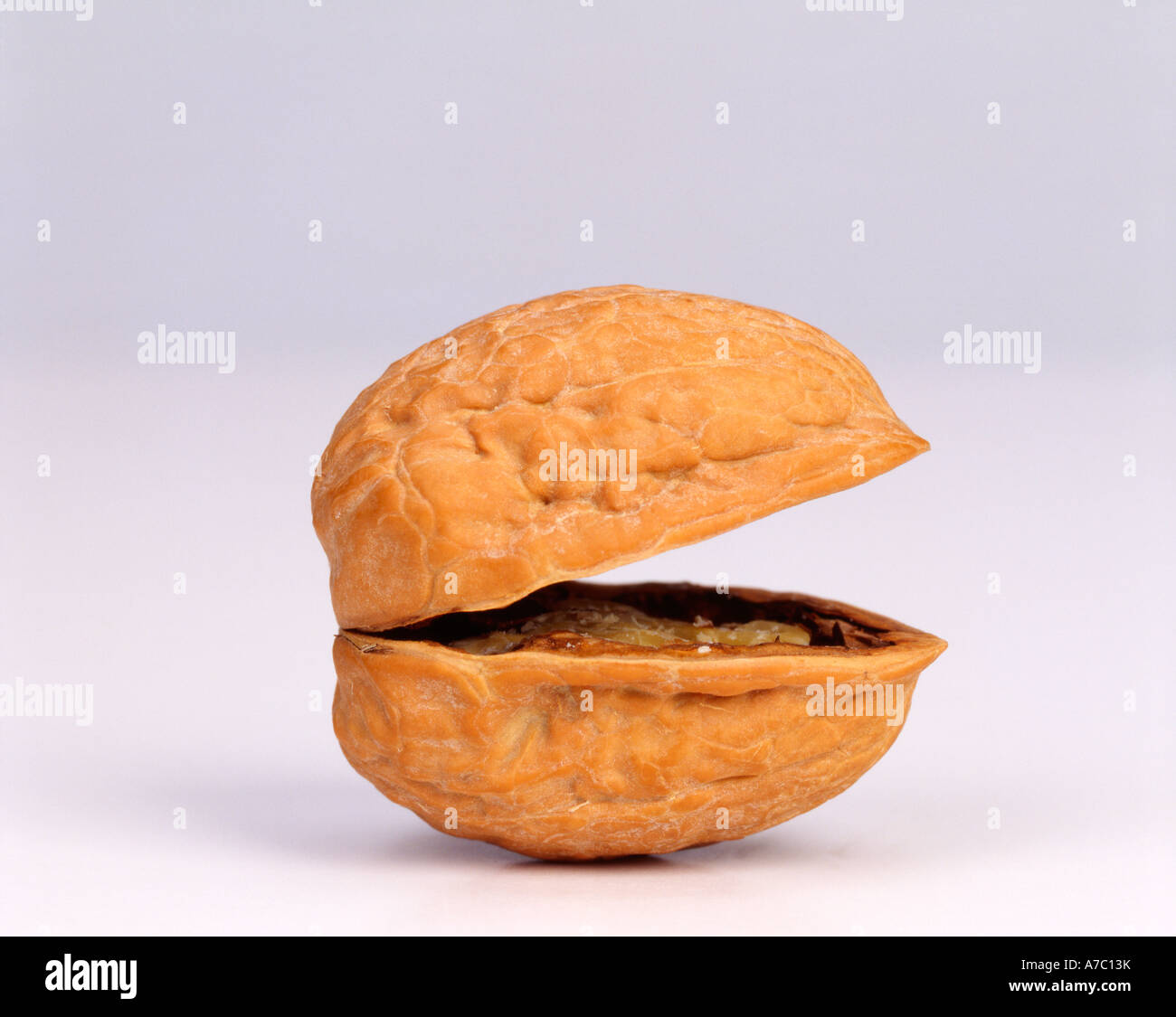 Walnut Smiling & Talking Face no people on white background Stock Photo ...