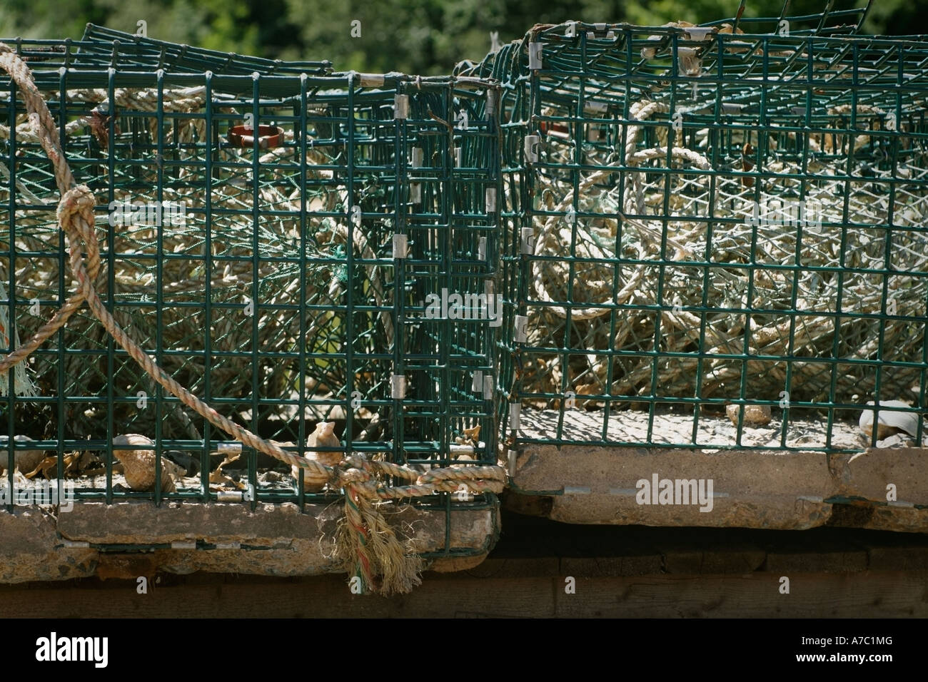 To wire traps sitting on a dock Stock Photo - Alamy